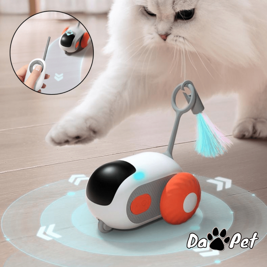 Gato Move - Carrinho Interativo para Gatos