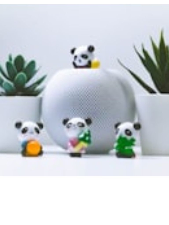 Casa Pandas